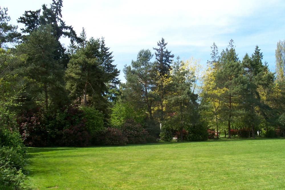 Fairweather Nature Preserve | Medina Washington